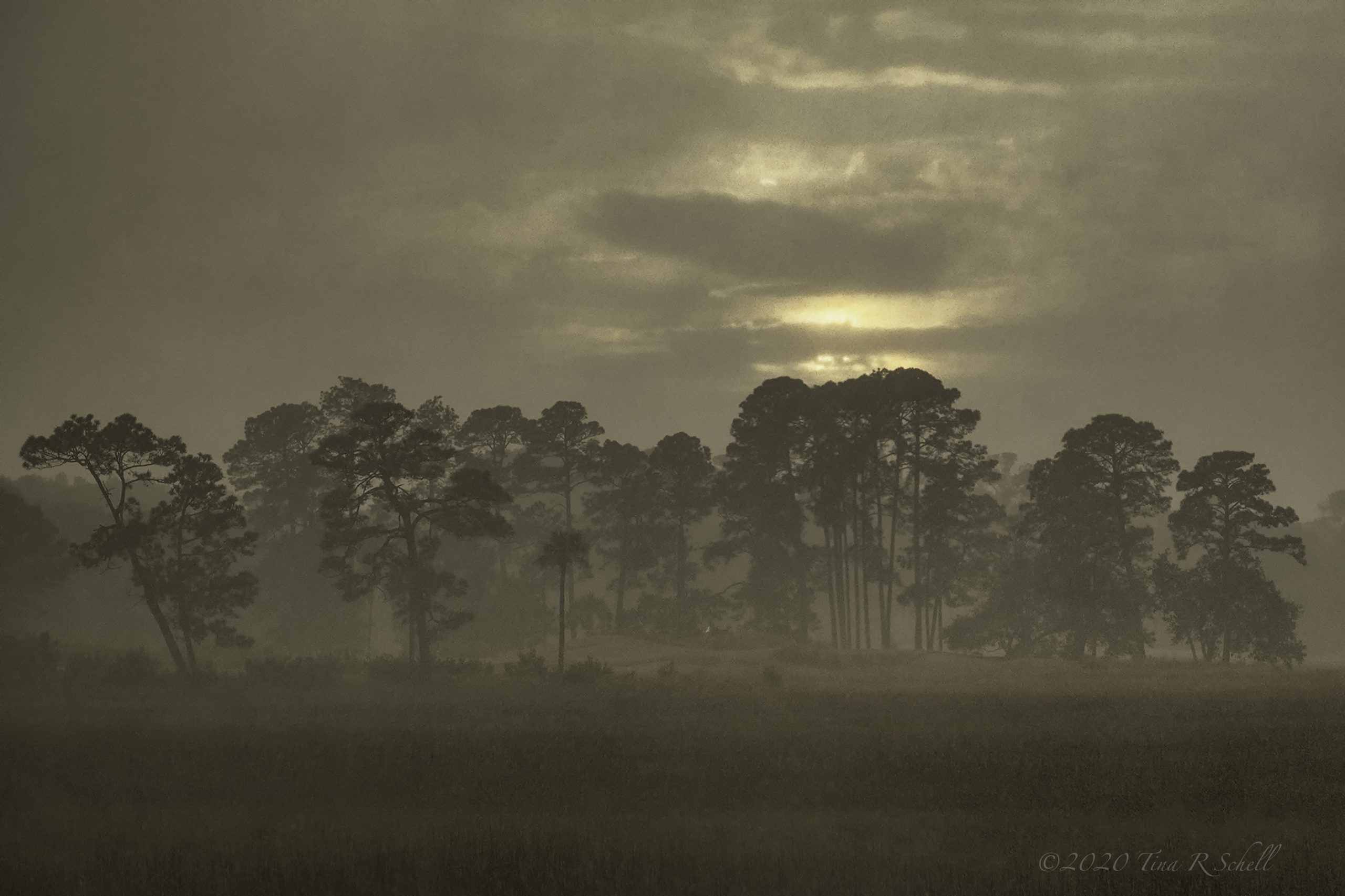 Gallery – Kiawah Island Photography Club